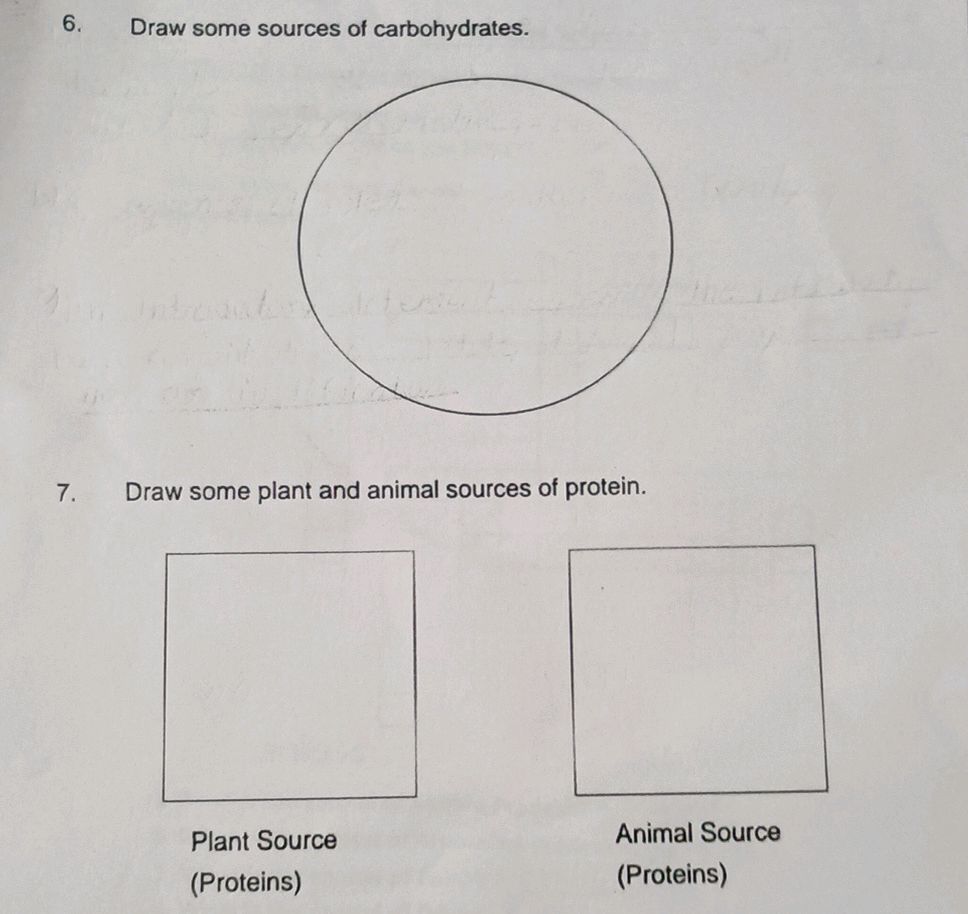 6. Draw some sources of carbohydrates. 7. | StudyX