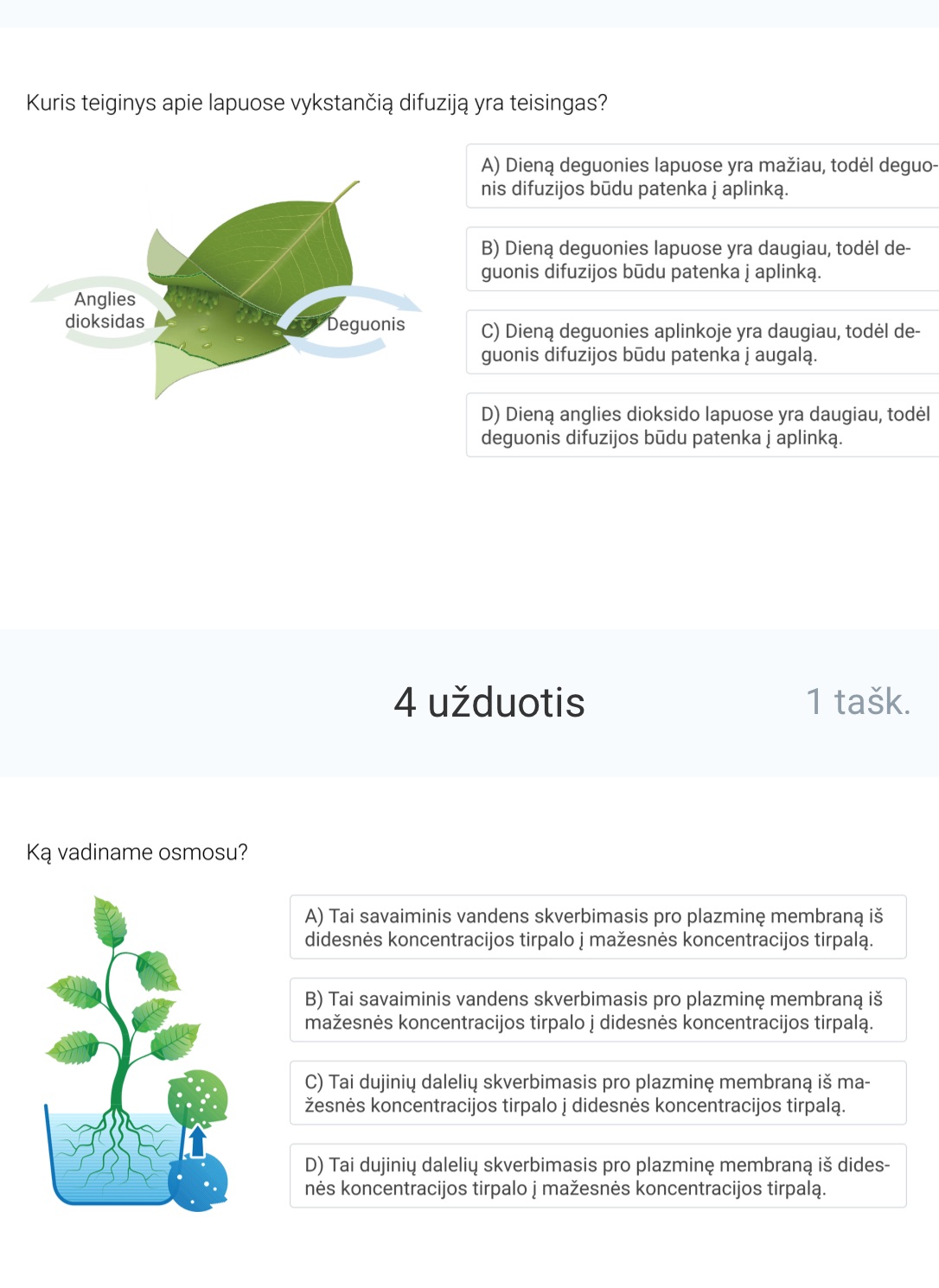 Kuris teiginys apie lapuose vykstančią | StudyX