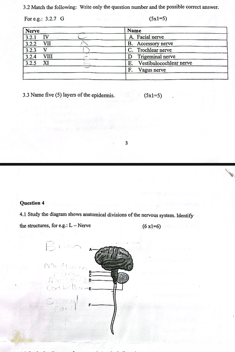 3.2 Match the following: Write only the | StudyX