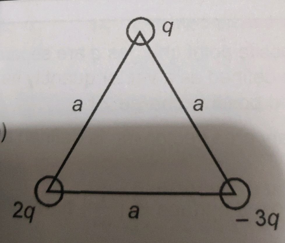 The image shows an equilateral triangle with | StudyX
