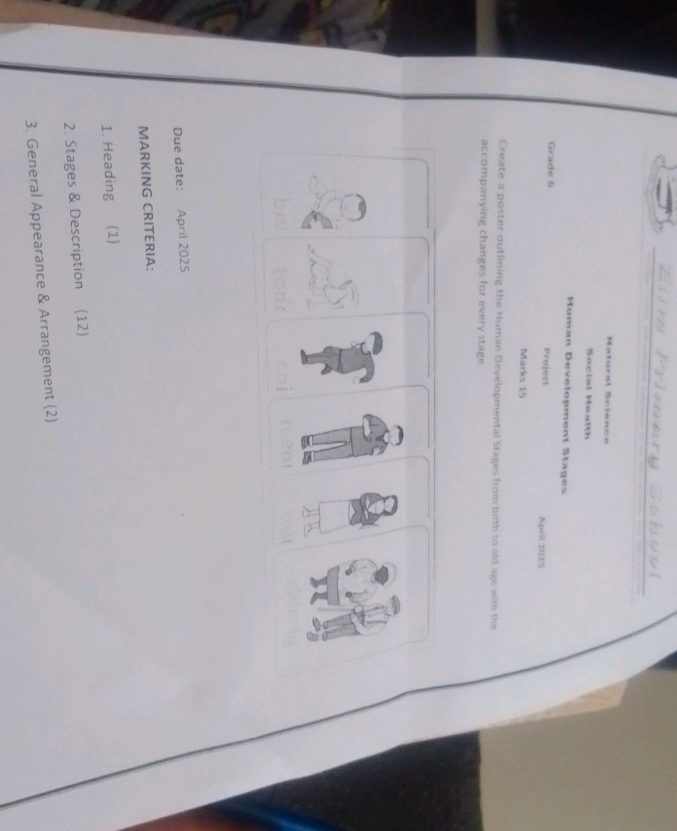Create a poster outlining the Human | StudyX