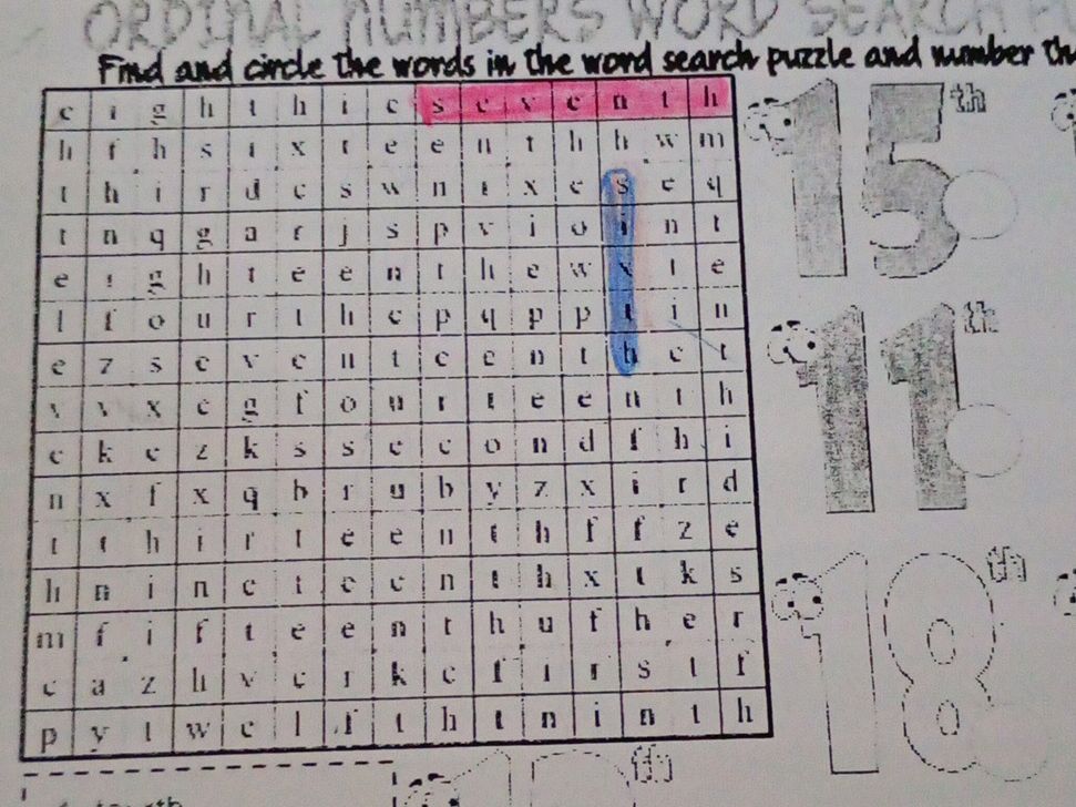 Find and circle the words in the word search | StudyX