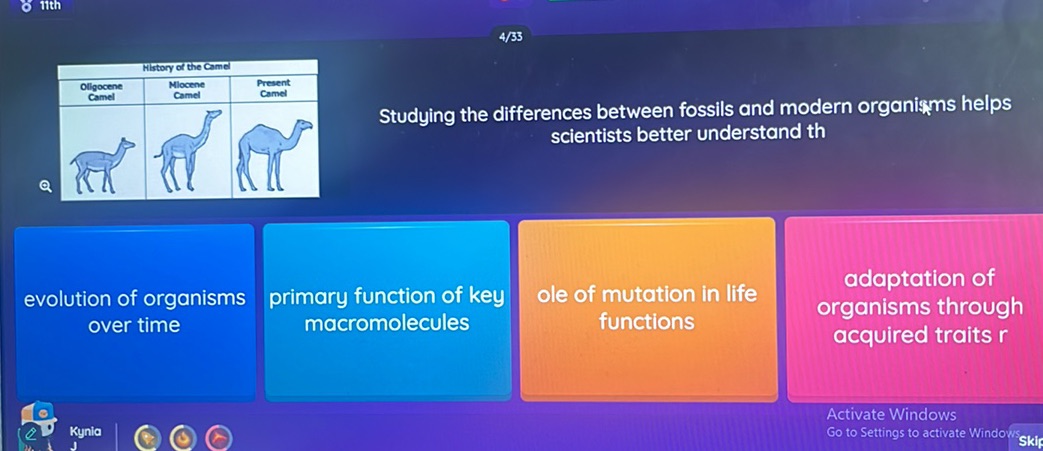 Studying the differences between fossils and | StudyX