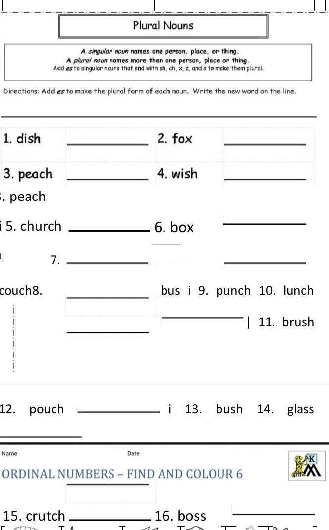 Plural Nouns A singular noun names one | StudyX