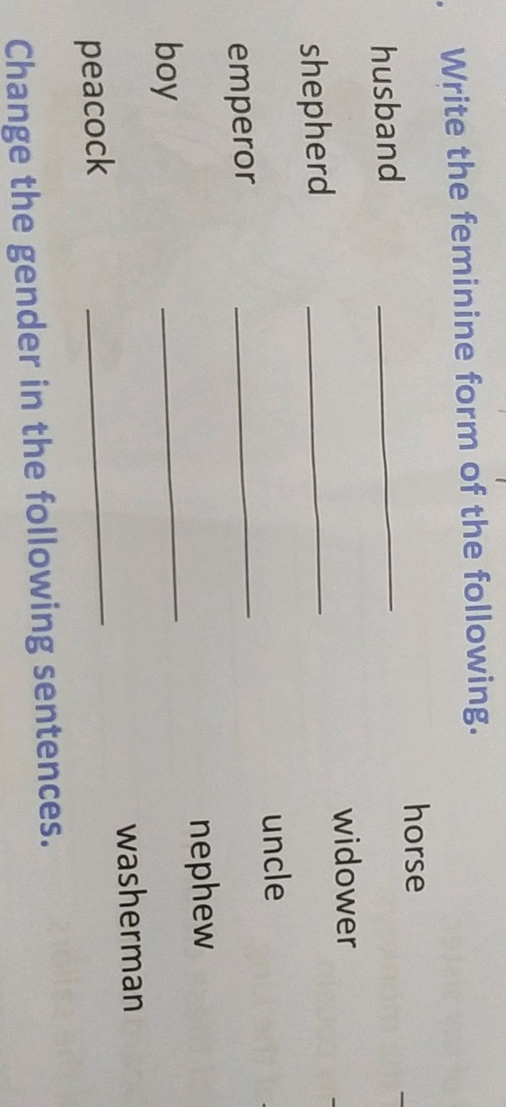 Write the feminine form of the following. | StudyX