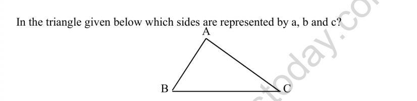 In the triangle given below which sides are | StudyX
