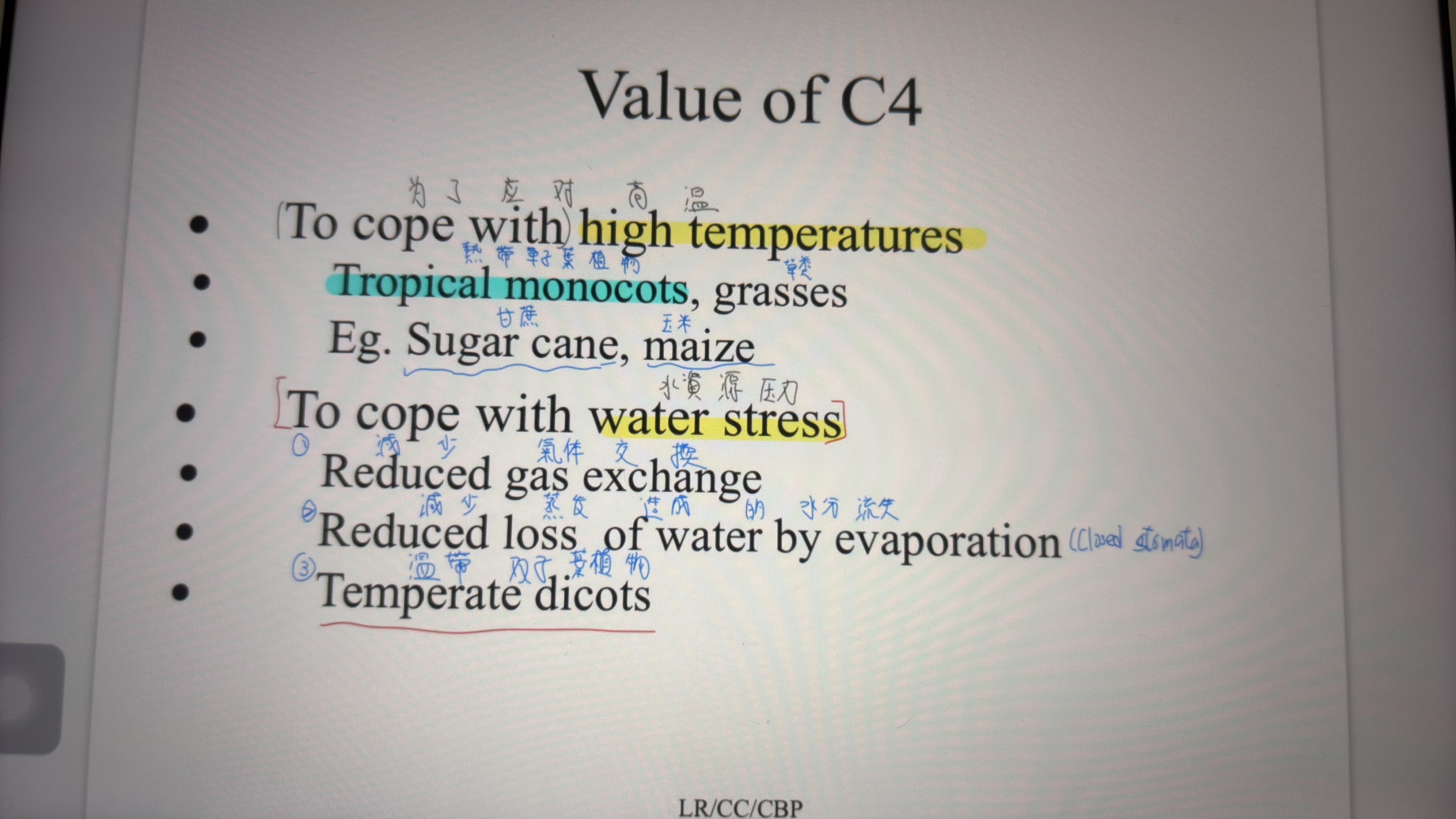 Where are the enzymes? | | RUBISCO | StudyX