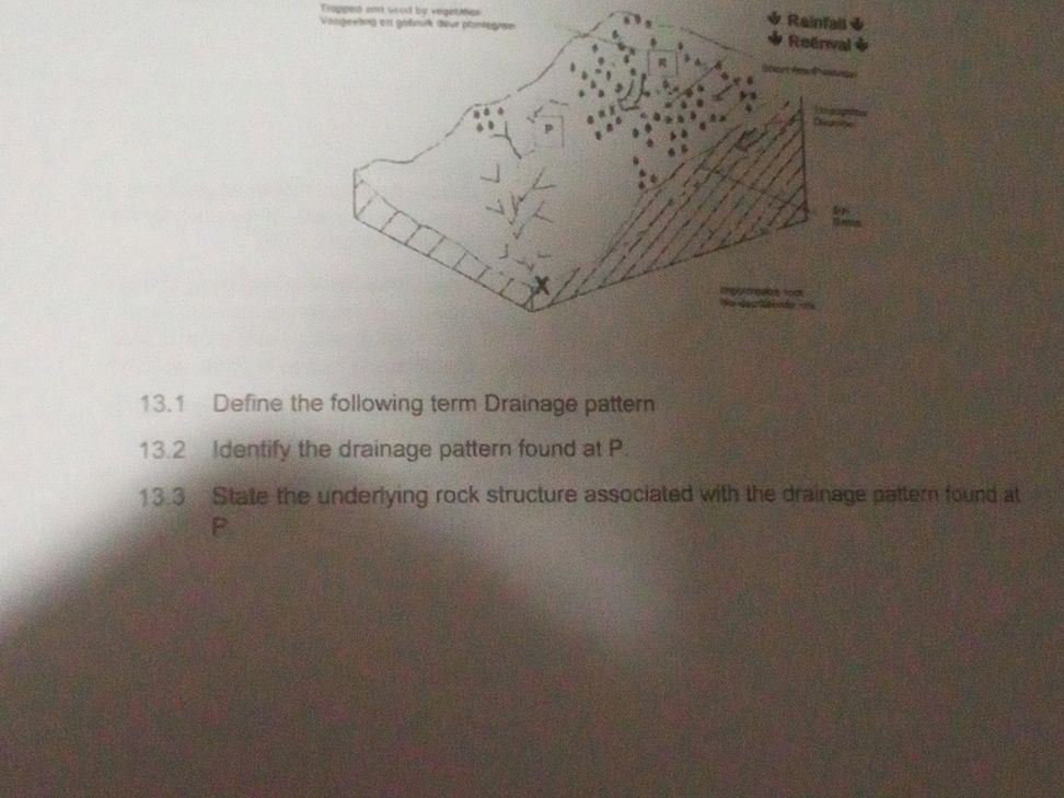 13.1 Define the following term Drainage | StudyX