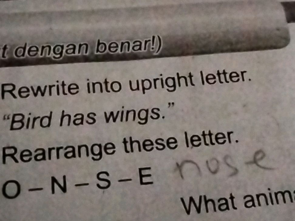 Rewrite into upright letter. "Bird has | StudyX