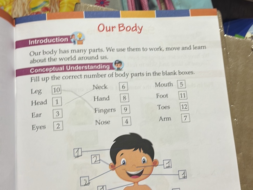 Fill up the correct number of body parts in | StudyX