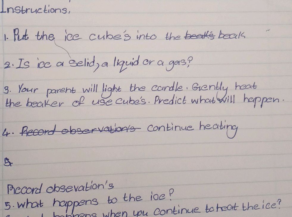 1. Put the ice cube's into the beak's beak | StudyX