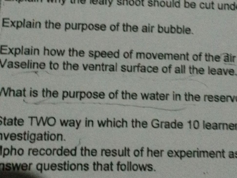 Explain the purpose of the air bubble. | StudyX