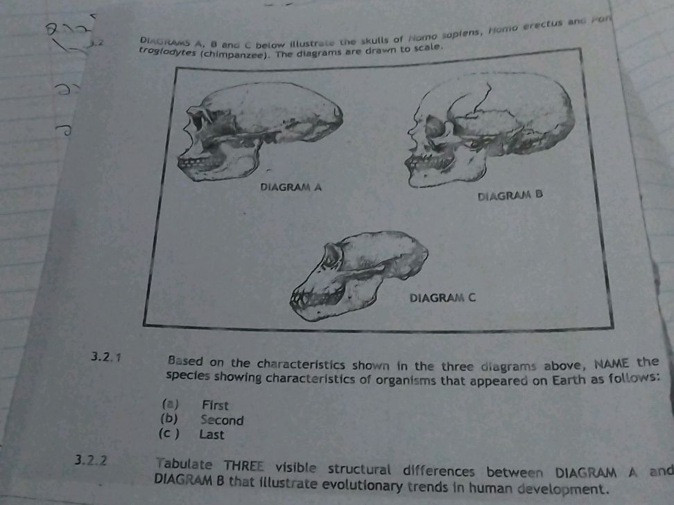 3.2.1 Based on the characteristics shown in | StudyX