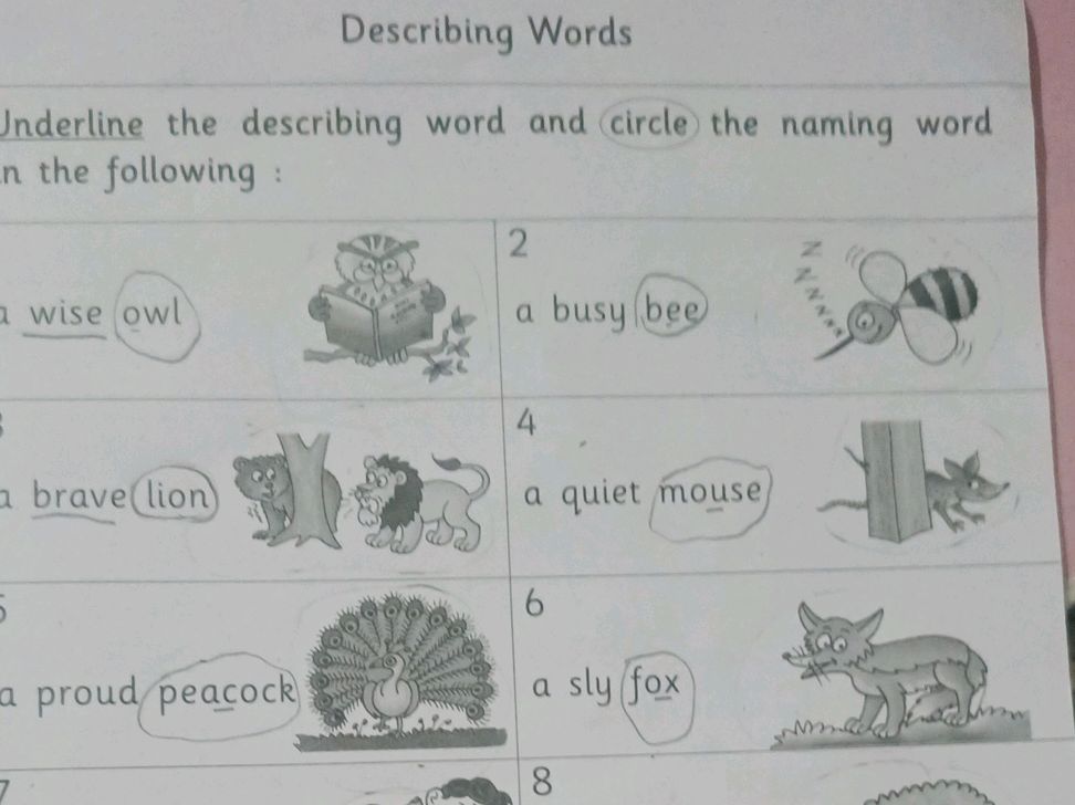Underline the describing word and circle the | StudyX