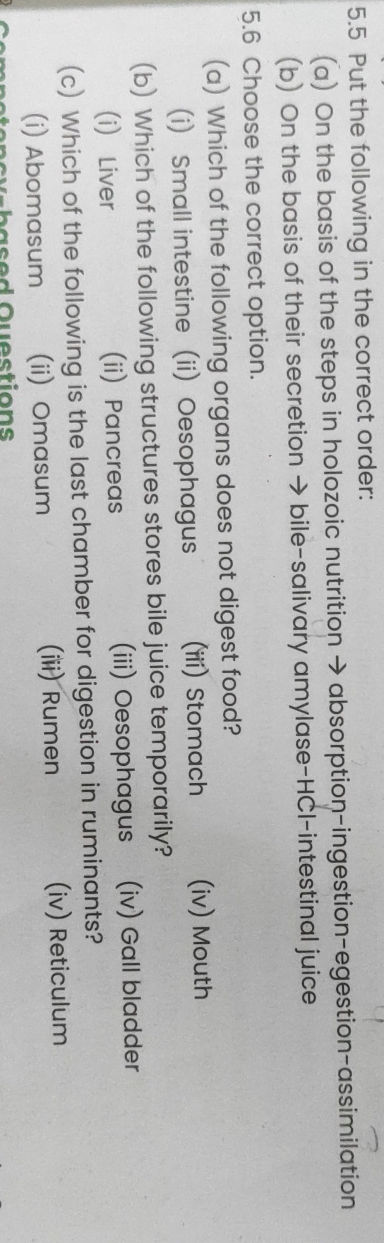 5.5 Put the following in the correct order: | StudyX