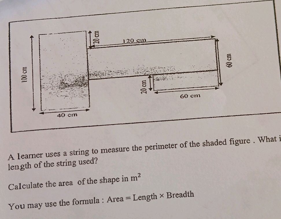 A learner uses a string to measure the | StudyX