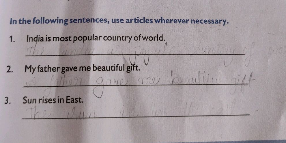 In the following sentences, use articles | StudyX