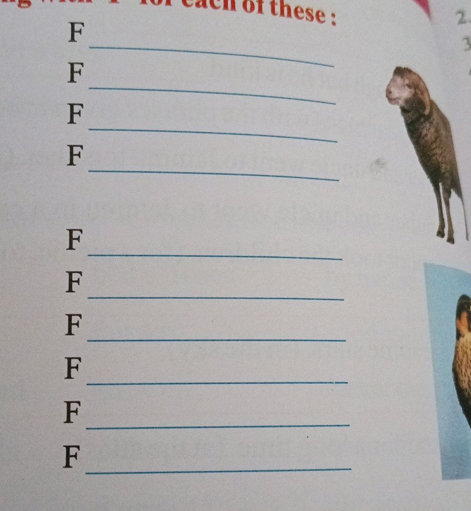 Words starting with F | StudyX