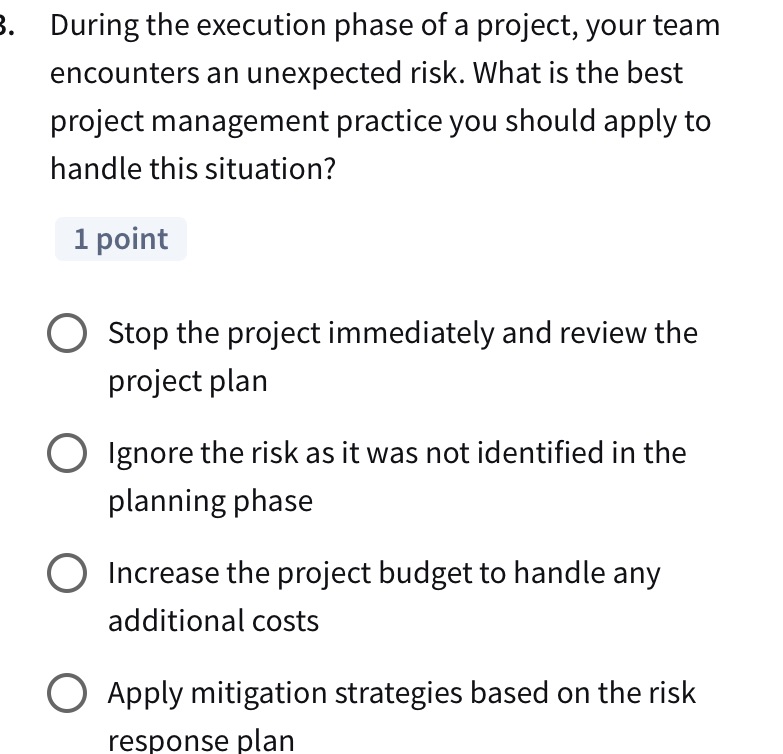 During the execution phase of a project,