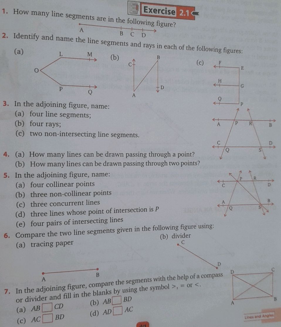 1. How many line segments are in the | StudyX