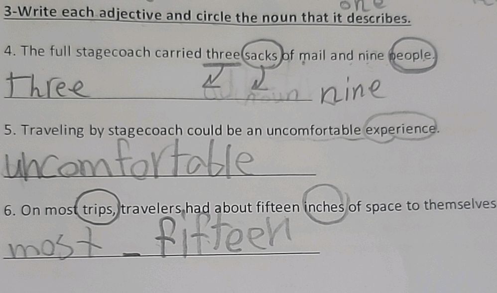 3-Write each adjective and circle the noun | StudyX