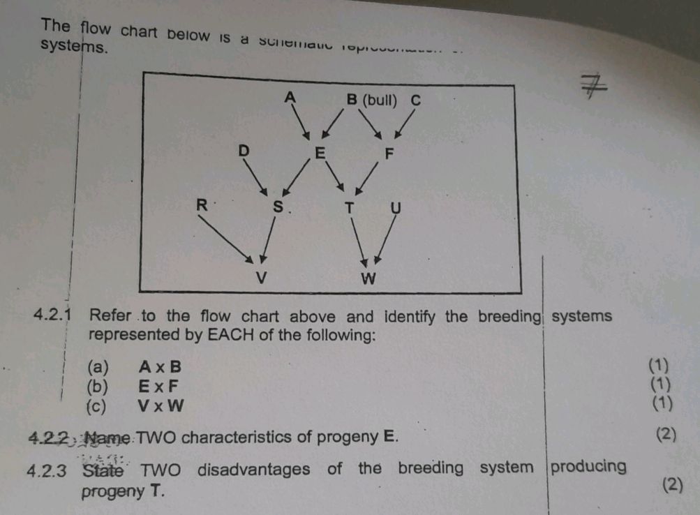 Refer to the flow chart above and identify | StudyX