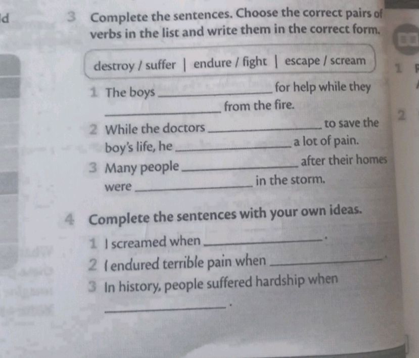 3 Complete the sentences. Choose the correct | StudyX