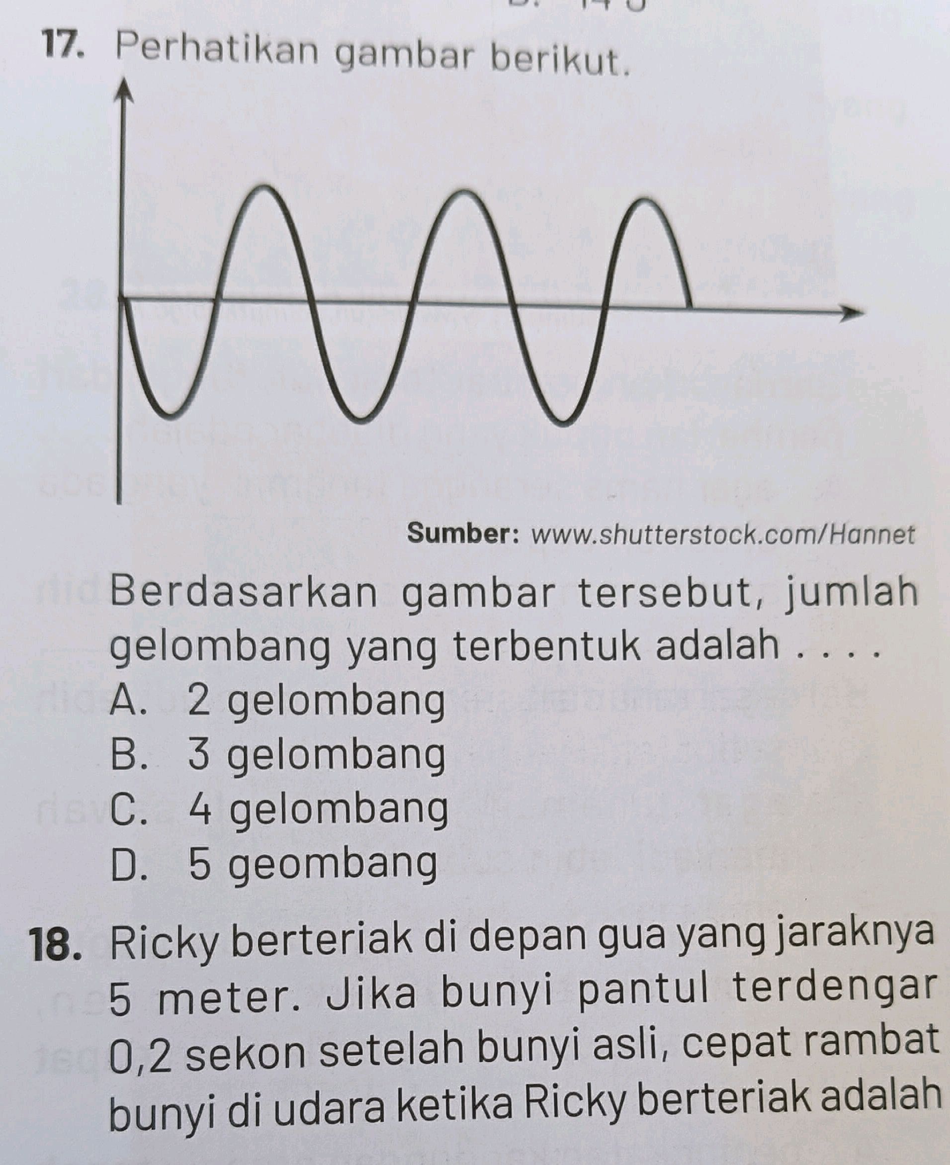 17. Perhatikan gambar berikut. Berdasarkan | StudyX