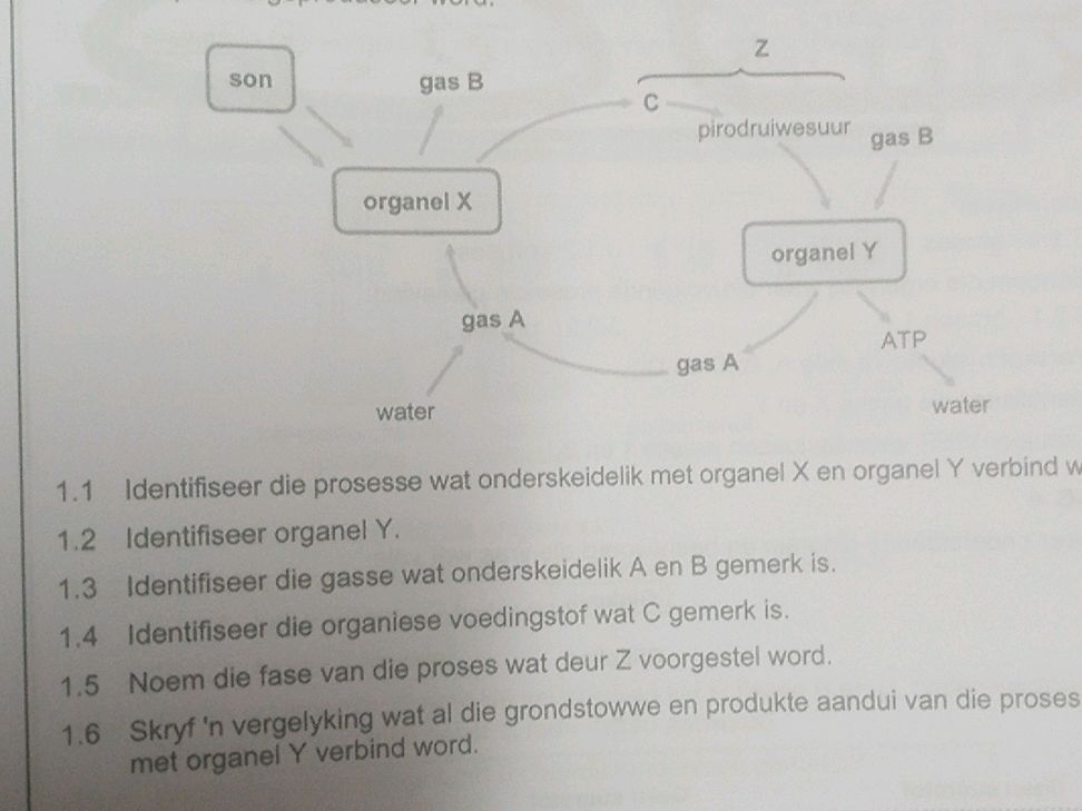 1.1 Identifiseer die prosesse wat | StudyX