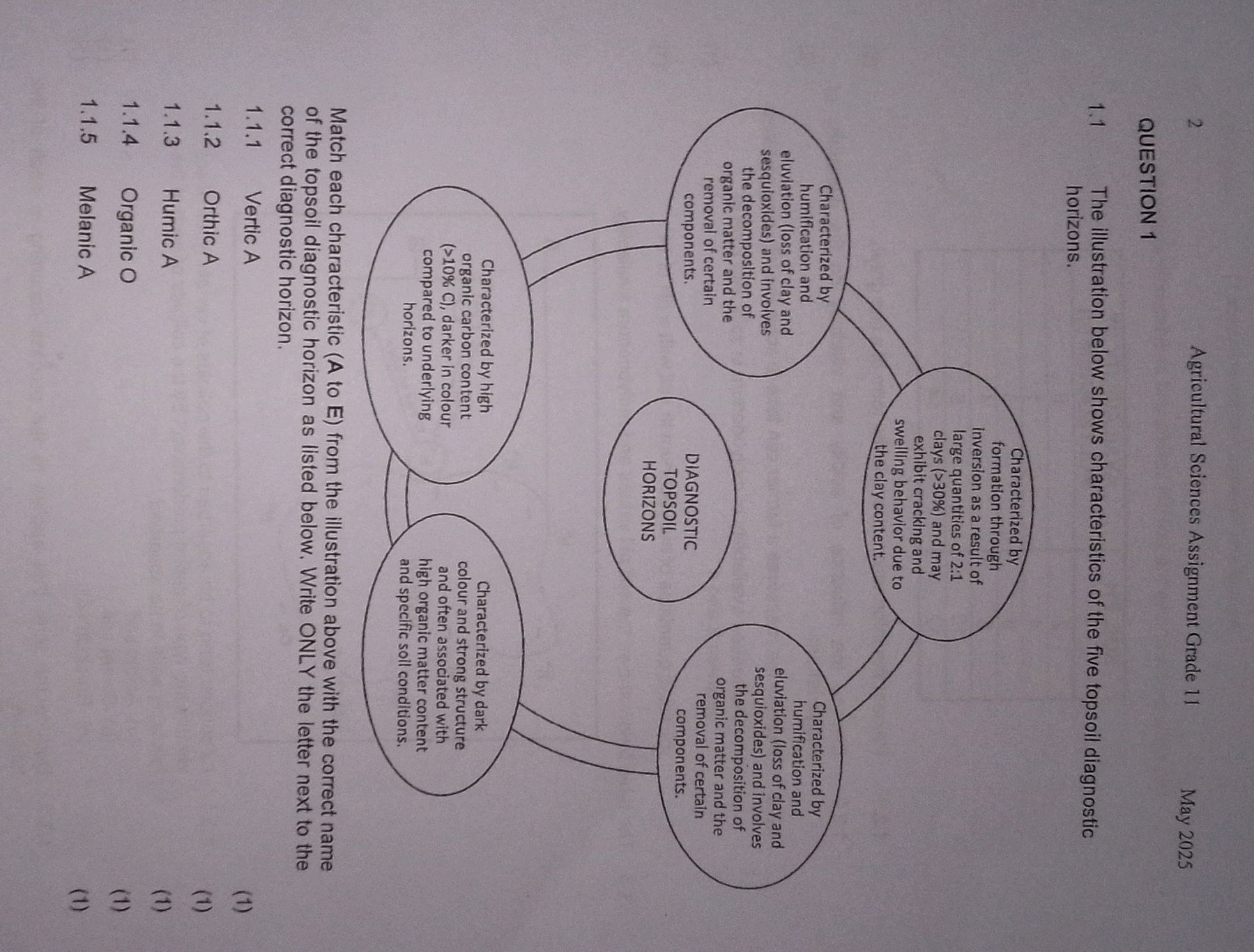1. The illustration below shows | StudyX