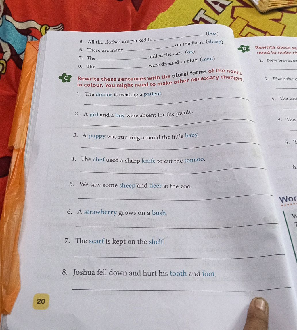 Rewrite these sentences with the plural | StudyX