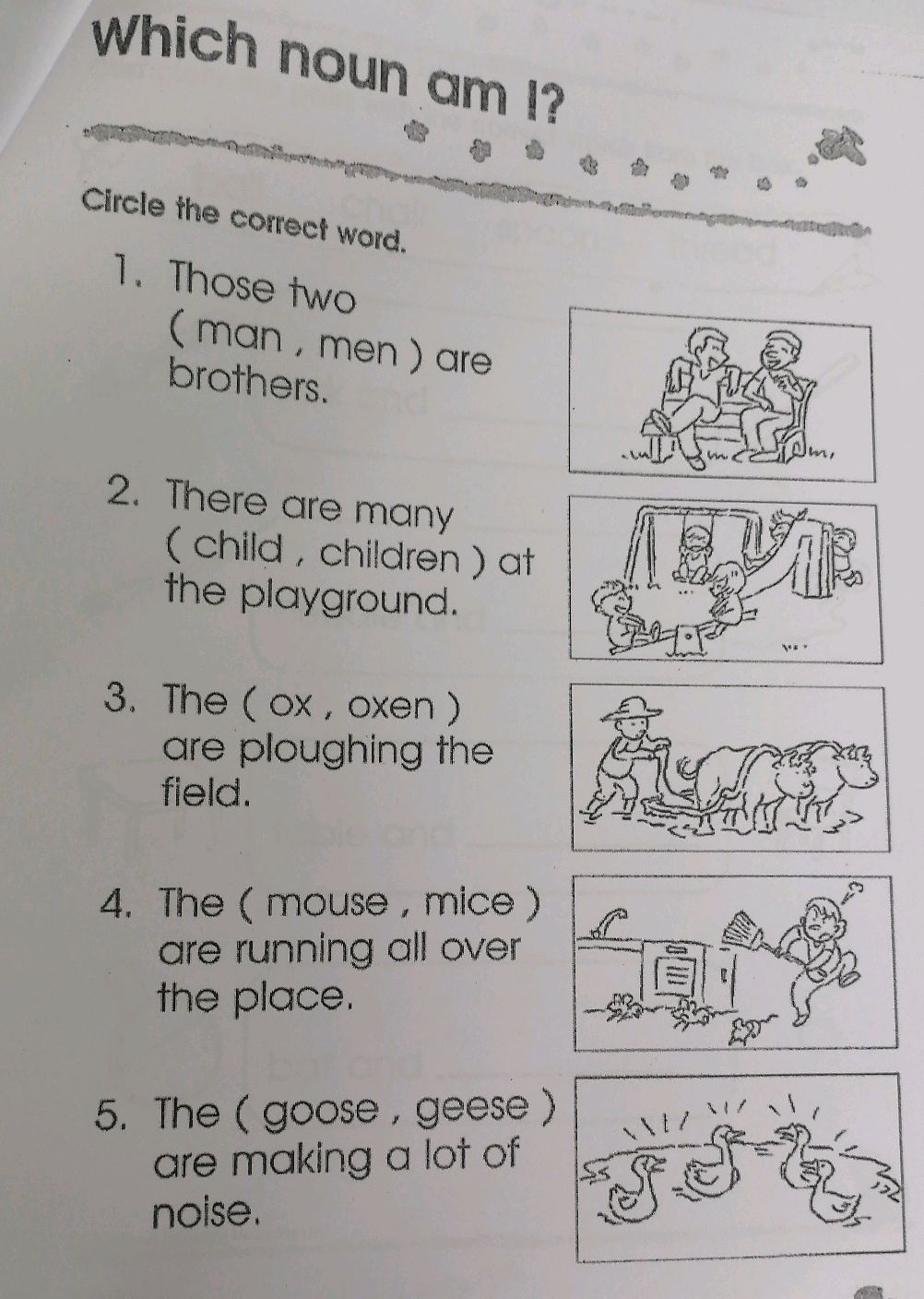 Which noun am I? Circle the correct word. | StudyX