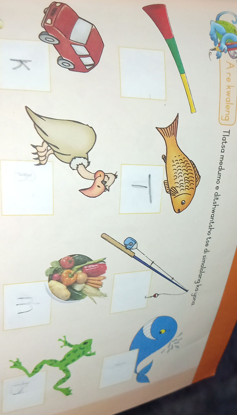 The image contains various drawings of | StudyX