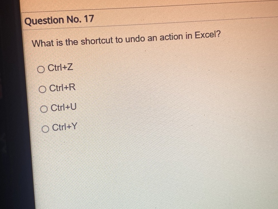 What is the shortcut to undo an action in | StudyX