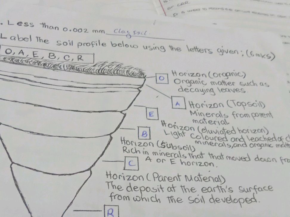 Label the soil profile below using the | StudyX