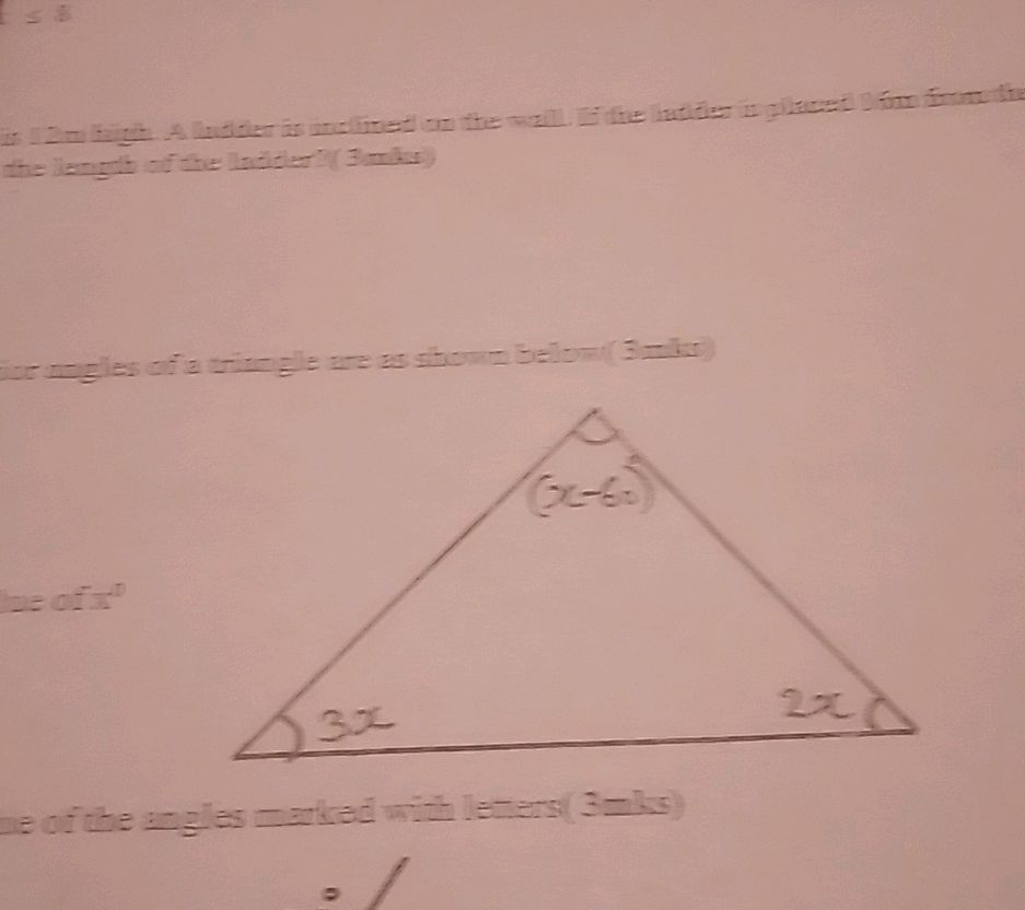 Interior angles of a triangle are as shown | StudyX