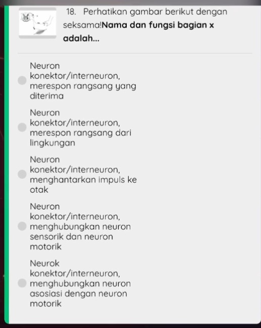 18. Perhatikan gambar berikut dengan | StudyX
