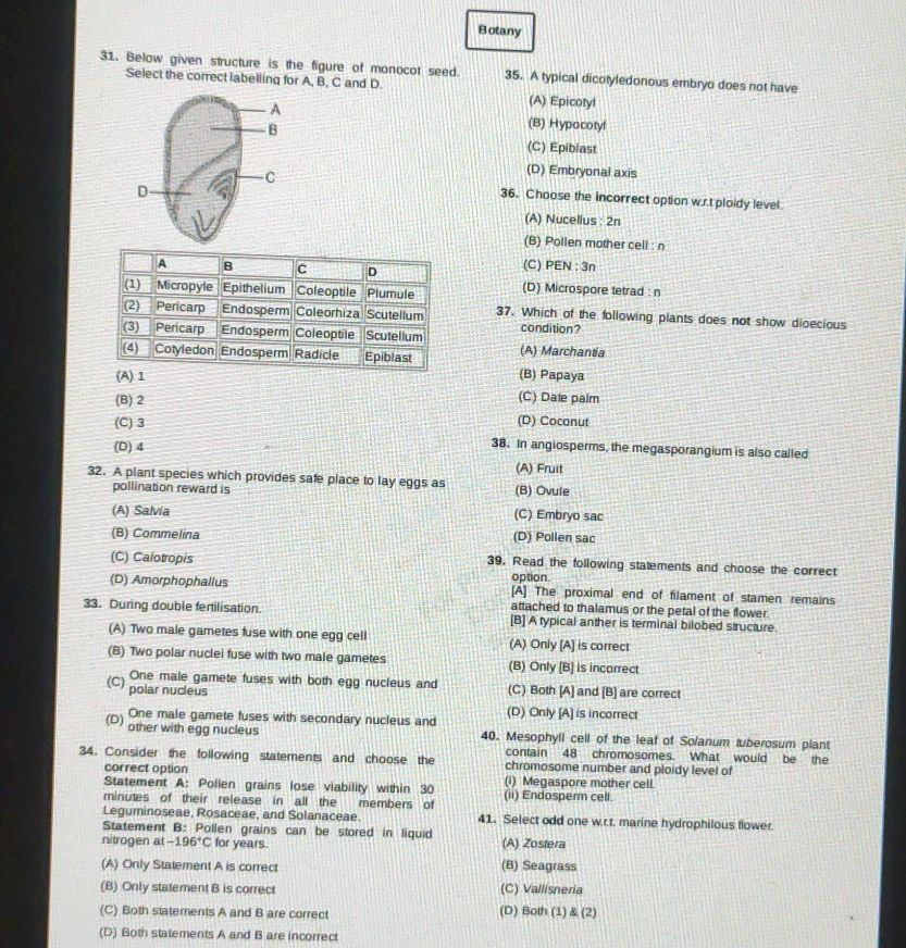 31. Below given structure is the figure of | StudyX