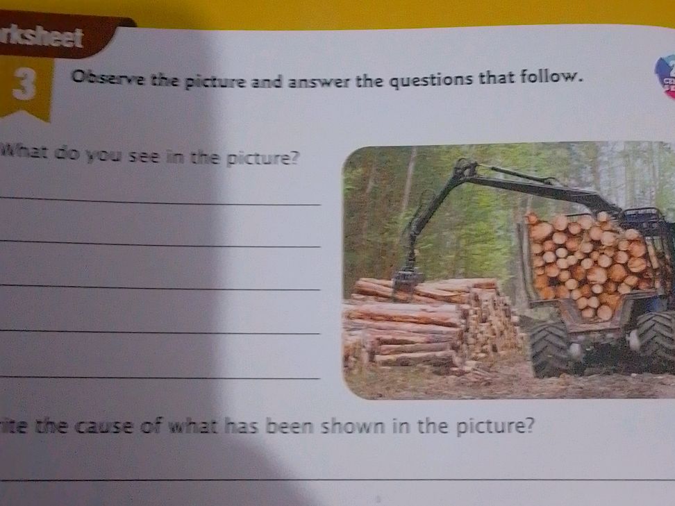 Observe the picture and answer the questions | StudyX