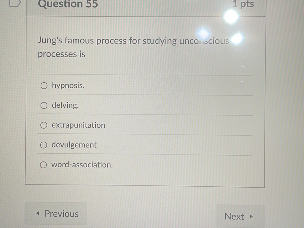 Jung's famous process for studying | StudyX