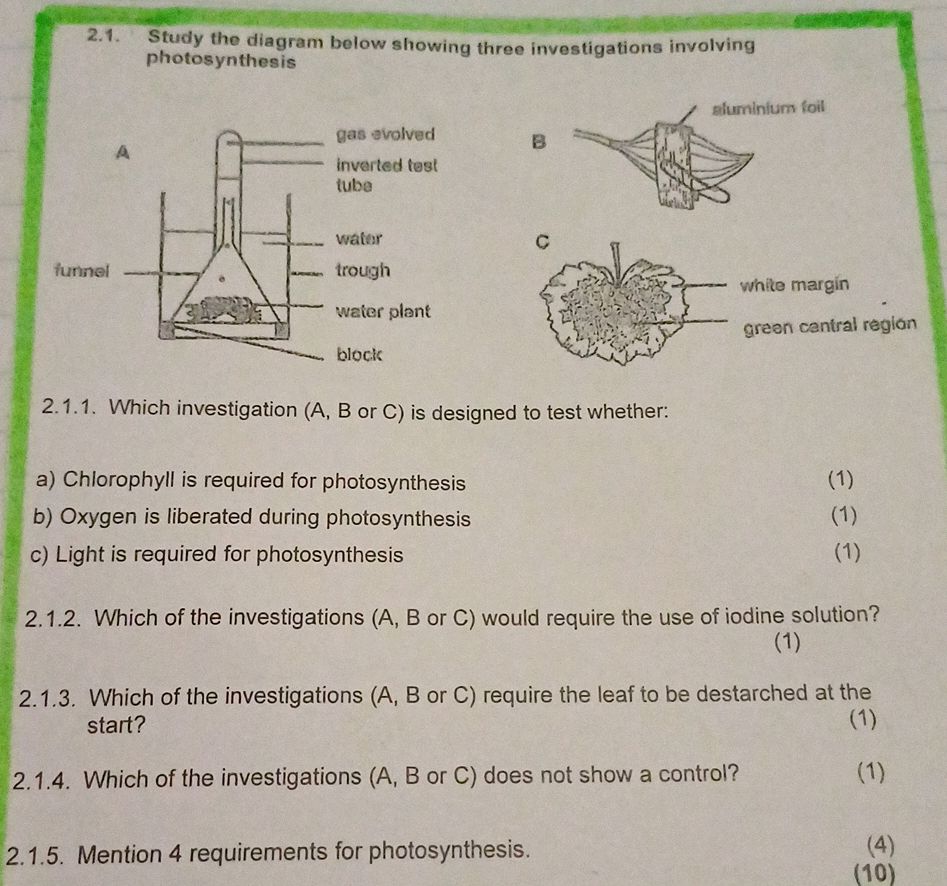 2.1. Study the diagram below showing three | StudyX