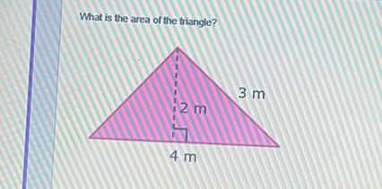 What is the area of the triangle? The | StudyX
