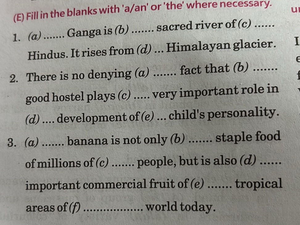 (E) Fill in the blanks with 'a/an' or 'the' | StudyX