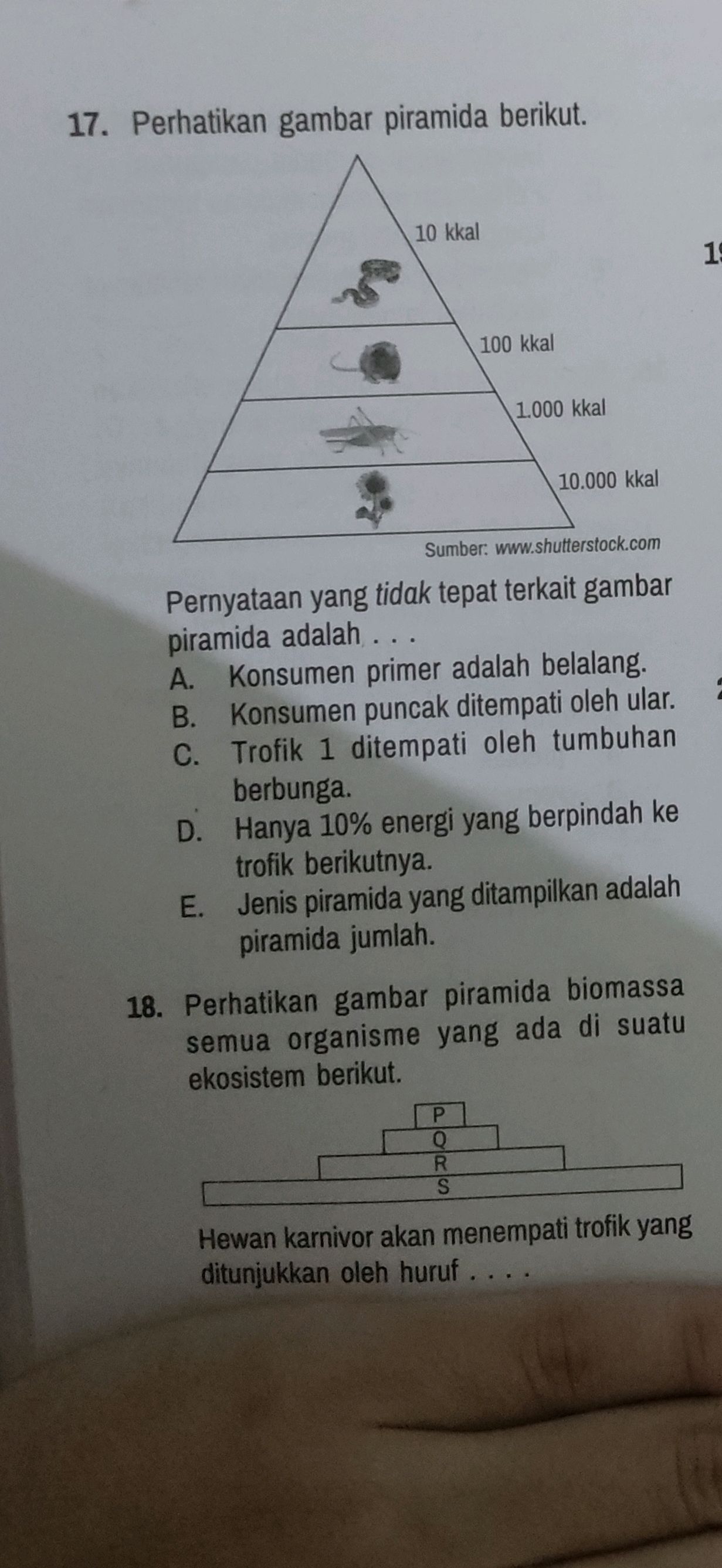 17. Perhatikan gambar piramida berikut. | StudyX