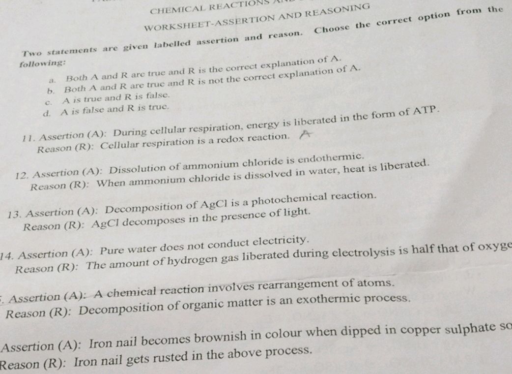 Two statements are given labelled assertion | StudyX