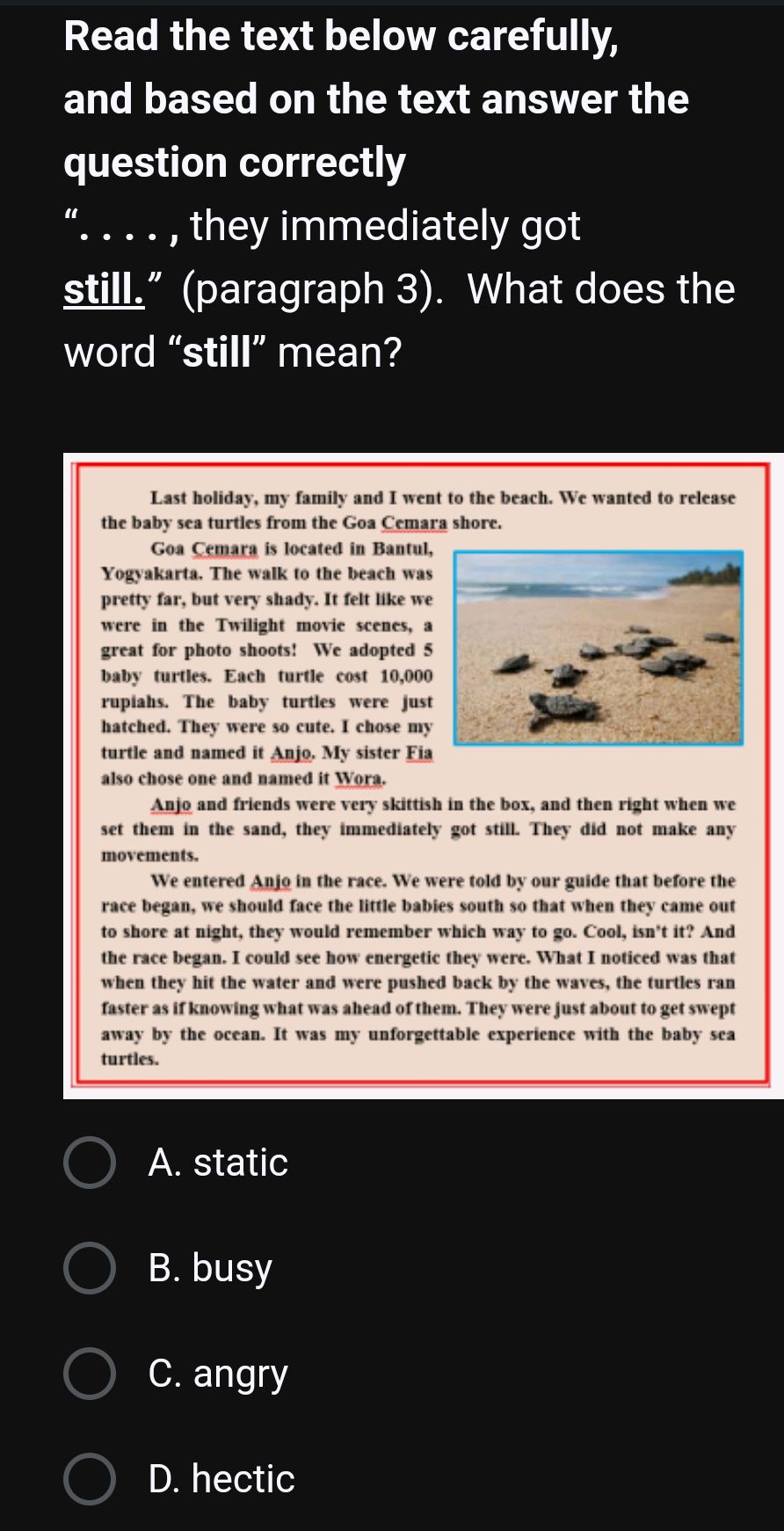 Read the text below carefully, and based on | StudyX