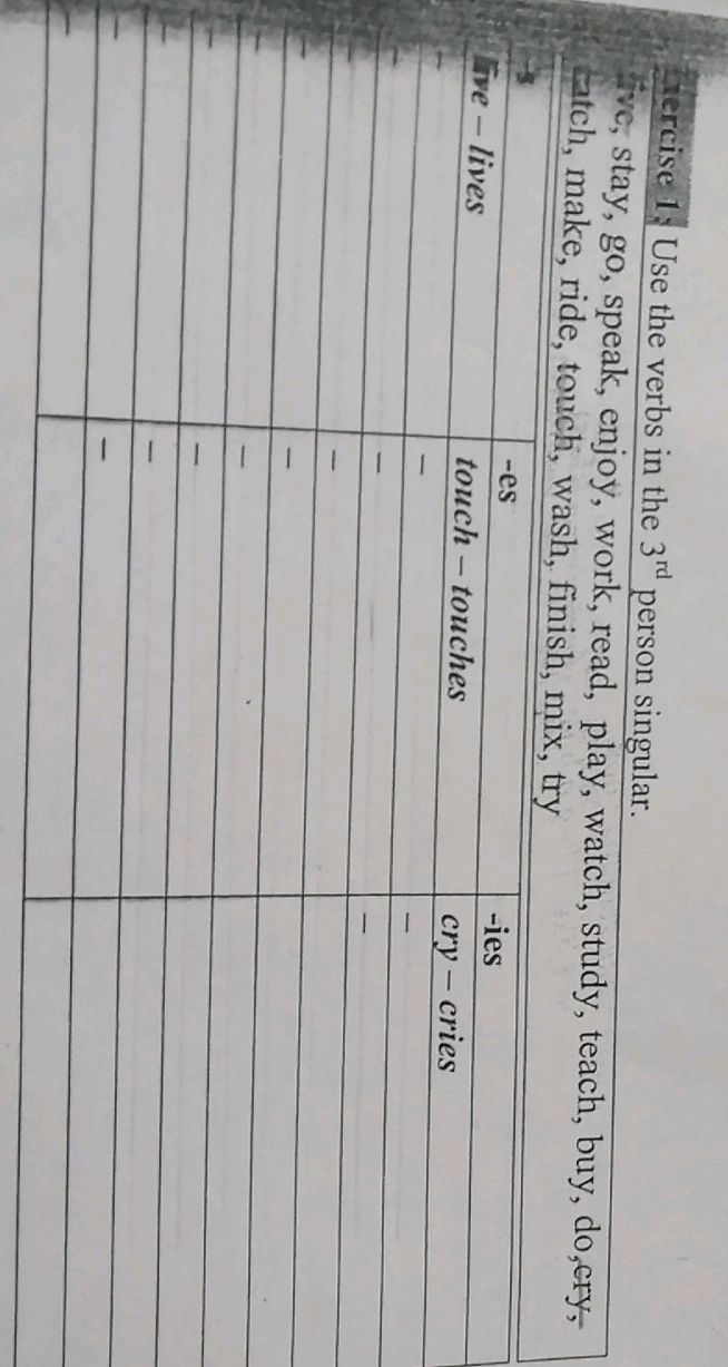 Exercise 1: Use the verbs in the 3rd person | StudyX