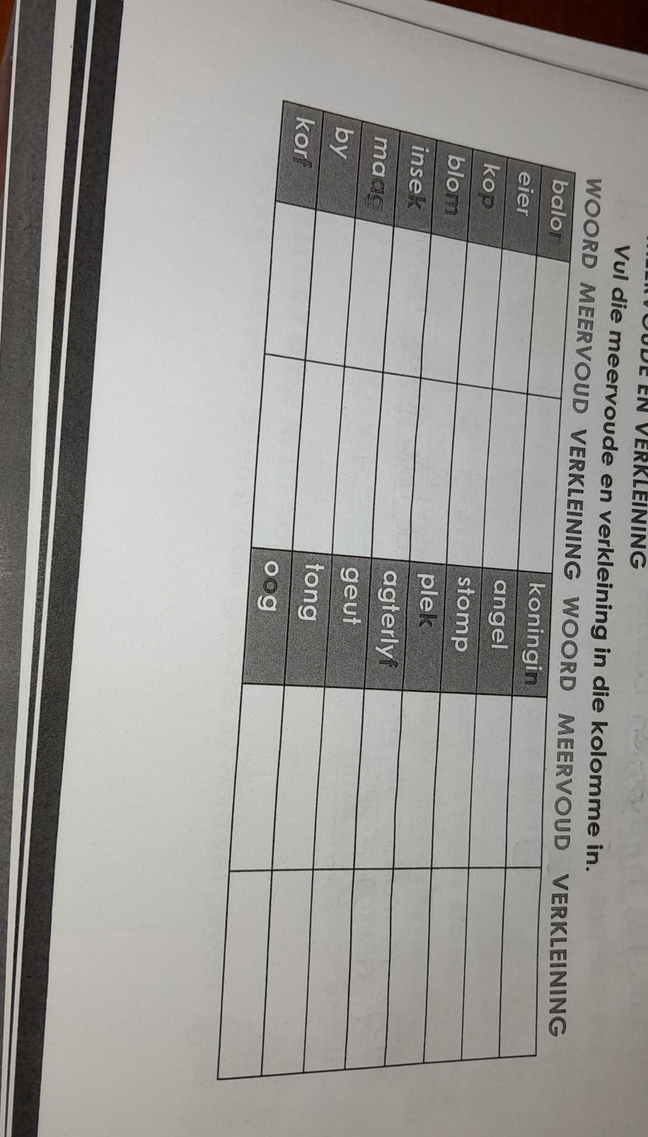 Vul die meervoude en verkleining in die | StudyX