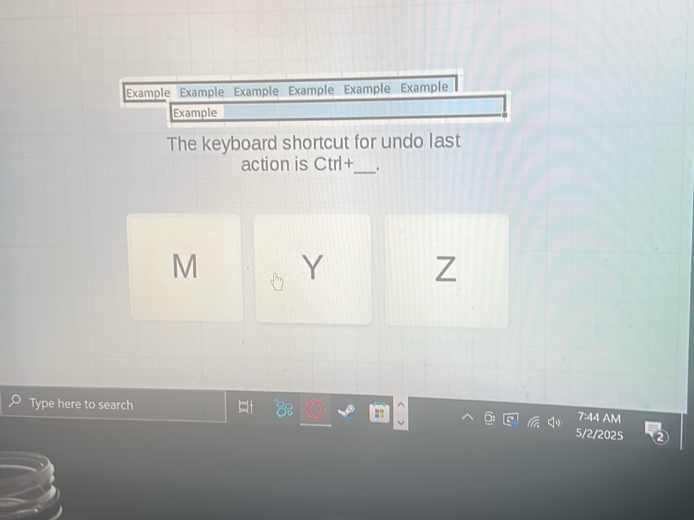 The keyboard shortcut for undo last action | StudyX
