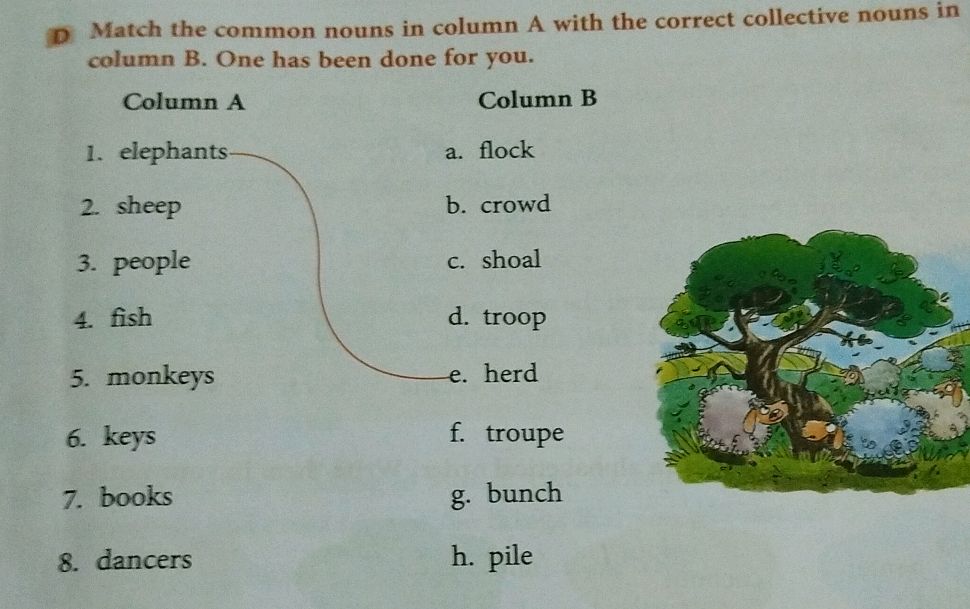 Match the common nouns in column A with the | StudyX
